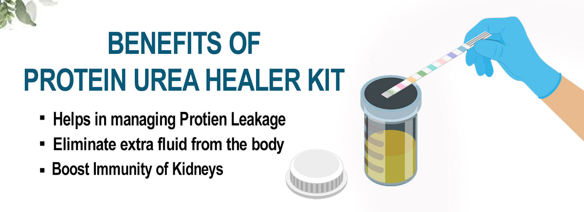 Protein Urea Healer Kit – Ayurvedayogashram